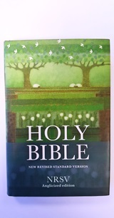 Holy Bible New Standard Revised Version: NRSV Anglicized Edition ...